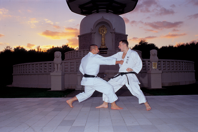 Karate training helps control stress | karatestarters.com
